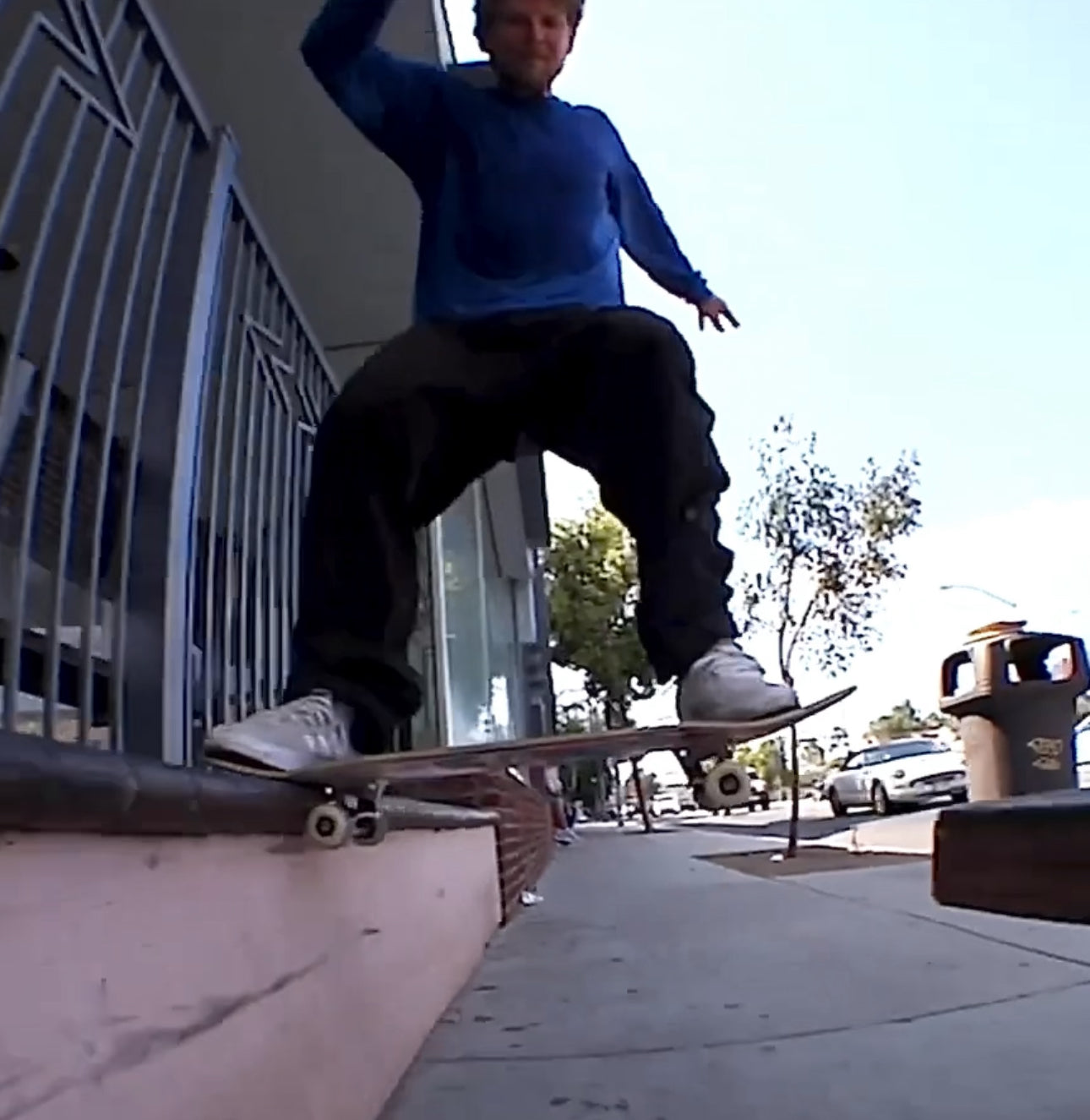 Real Skateboards - ‘Roll Call’ – Welcome Skate Store